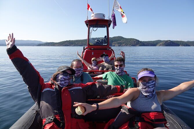 4 hour Zodiac Whale and Wildlife Tour - Why This Tour Offers Good Value