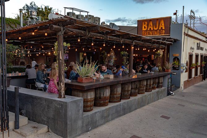 4 Hours Art Walk Experience in Cabo - Exploring San Jose del Cabo’s Artistic Heart