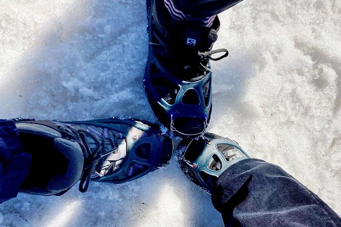 4 hours Best View of the Oslofjord Winter Edition - Whats Included and Whats Not