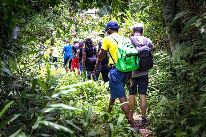 4-Hours Bike, Hike & Waterfall Tour in Blue Mountain with Lunch and Pick Up - Introduction