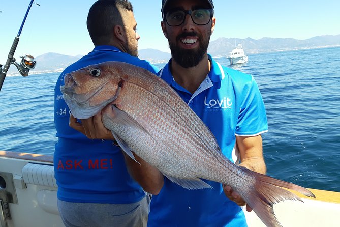 4 Hours Bottom Fishing Day by Boat From Marbella - What to Expect During the 4-Hour Fishing Trip