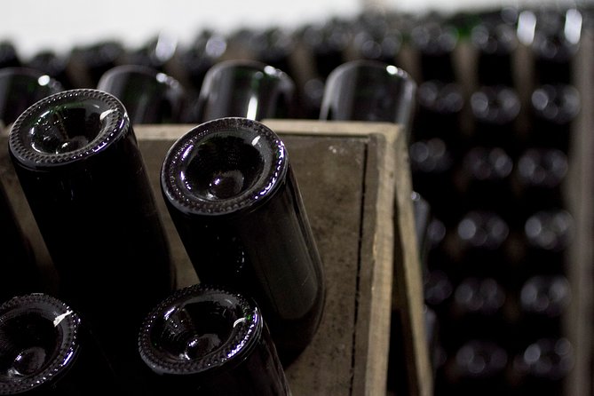 4 Hours Cricova Winery Tour With Tasting - Accessibility and Policies