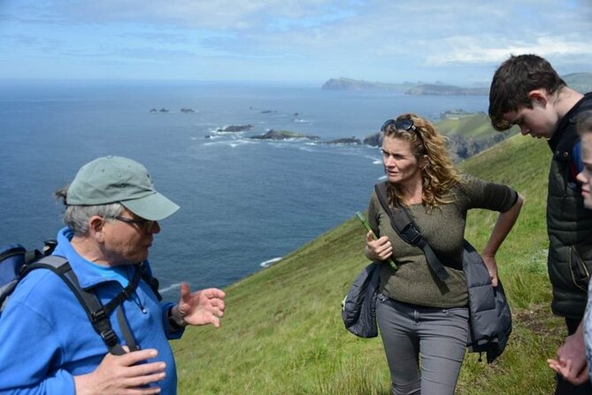 4 Hours Dingle Peninsula Private Tour - Accessibility and Participation