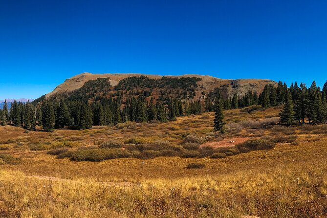 4 Hours Durango Colorado - Jeep Tour - Why This Tour Offers Great Value