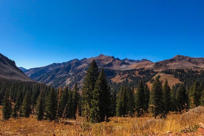 4 Hours Durango Colorado - Jeep Tour - Who Would Enjoy This Experience?