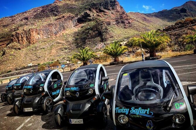 4 Hours Eco Safari Tour with Electric Car in Tenerife - Exploring the 4 Hours Eco Safari Tour with Electric Car in Tenerife