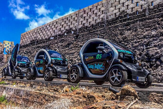4 Hours Eco Safari Tour with Electric Car in Tenerife - The First Stop: Tamaimo