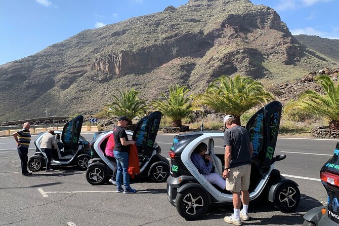 4 Hours Eco Safari Tour with Electric Car in Tenerife - Exploring Santiago del Teide