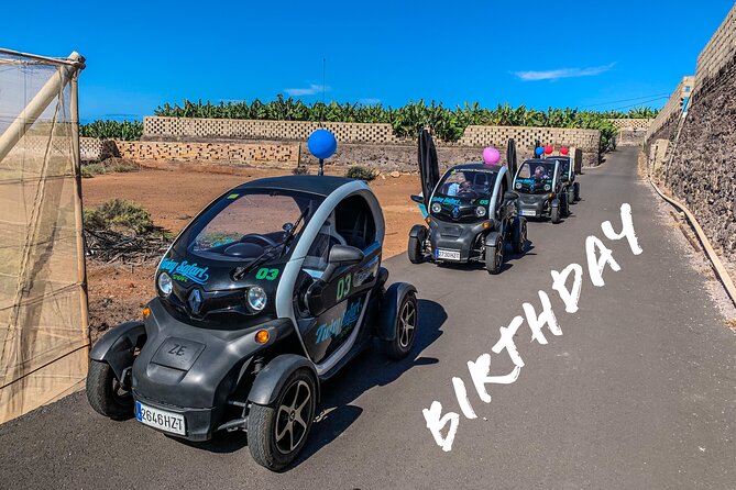 4 Hours Eco Safari Tour with Electric Car in Tenerife - The Scenic Drive and Natural Highlights