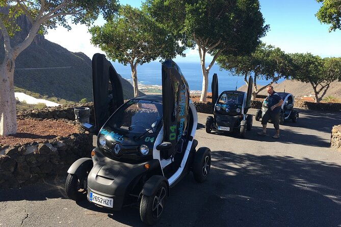 4 Hours Eco Safari Tour with Electric Car in Tenerife - Value and Practical Considerations
