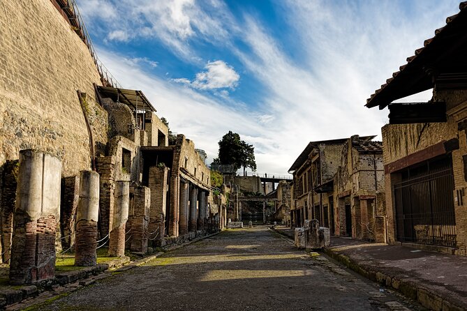 4 Hours Herculaneum Private Tour from Naples - An In-Depth Exploration of the Tour