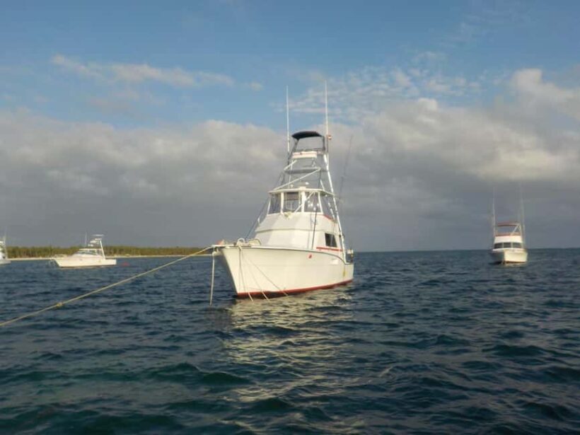 4 hours of deep sea fishing from Bavaro Punta Cana - Discover the Thrill of Deep Sea Fishing from Bavaro Punta Cana