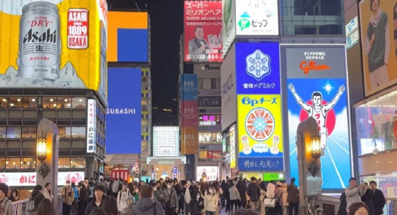 4 Hours Osaka Half-Day Drive Cruising City Tour. (1 Pax Up) - Itinerary Highlights