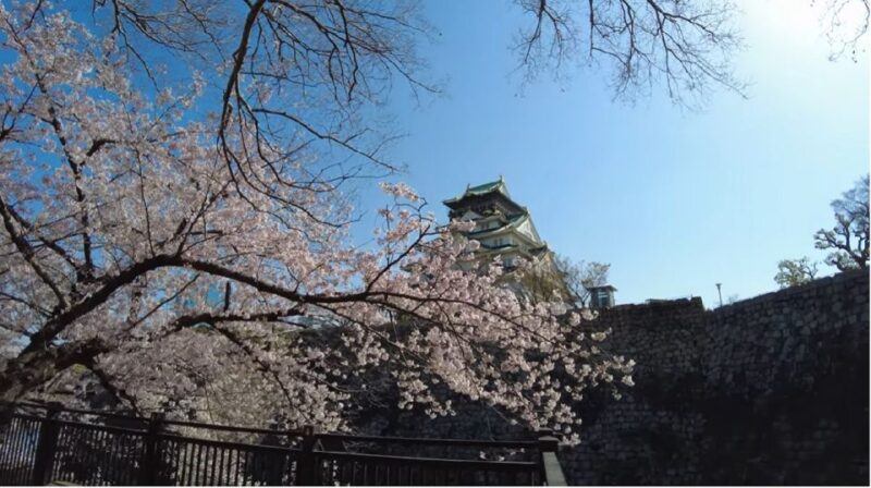 4 Hours Osaka Half-Day Drive Cruising City Tour. (1 Pax Up) - Reserve Now & Pay Later Option
