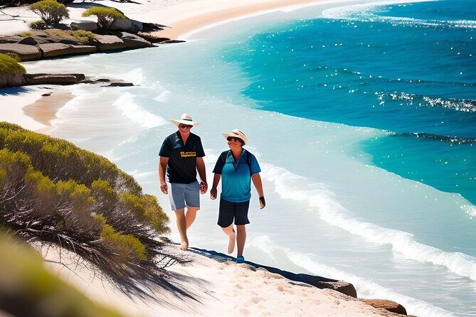 4 Hours Perth City Highlights with Private Chauffeured Tour - A Deep Dive into the Perth Private Tour Experience