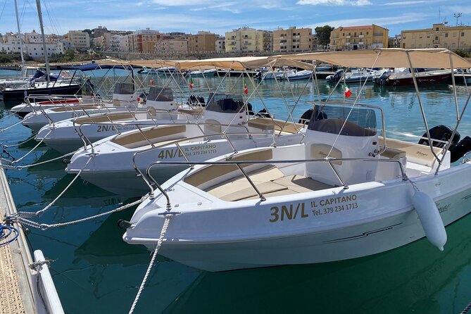 4 Hours Private Guided Boat Tour in Vieste - Key Points