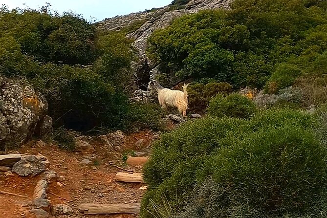 4 Hours Private Hiking on the Strouboulas Mountain, Heraklion - An In-Depth Look at the Strouboulas Mountain Hike