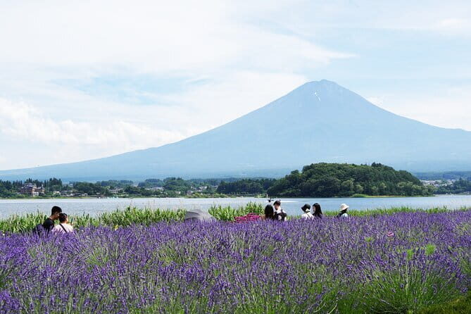 4 Hours Private Yanaka Town Tour - The Sum Up