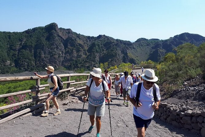 4 Hours Vesuvius Volcano Tour - Introduction