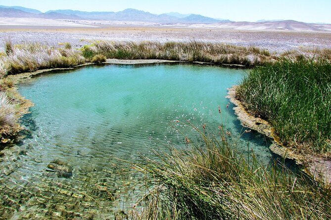4 hr Private Adventure to Secret Hot Springs near Death Valley - The Sum Up: Why Choose This Tour?