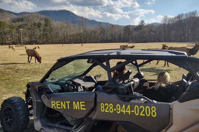 (4 HR) UTV ECO Elk Wilderness Adventure - An In-Depth Look at the UTV ECO Elk Wilderness Adventure