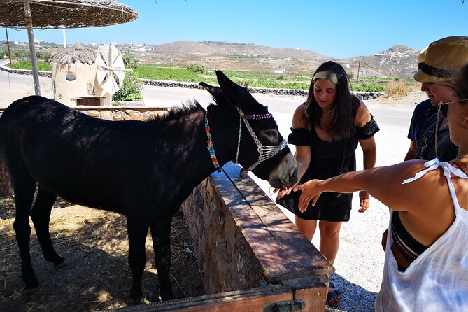 4 Hrs PRIVATE Island Tour and Photos, Oia and Blue Domes N Beach - Highlights of the Tour Experience