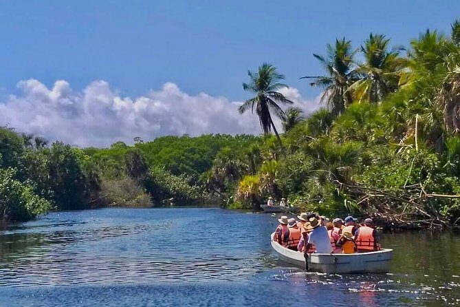 4 in 1 Tour - Mazunte, Cacao Factory, La Ventanilla National Park & Turtle Spawn - Final Thoughts: The Value of the 4-in-1 Tour