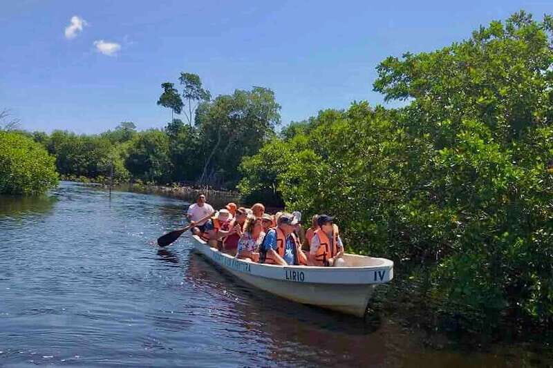 4-in-1 Tour - Mazunte, Cacao Factory & Turtle Spawn/Release - Transport, Timing, and Practicalities