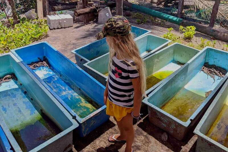 4-in-1 Tour - Mazunte, Cacao Factory & Turtle Spawn/Release - The Experience Provider