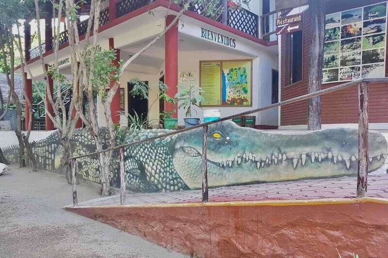 4-in-1 Tour - Mazunte, Cacao Factory & Turtle Spawn/Release - FAQ
