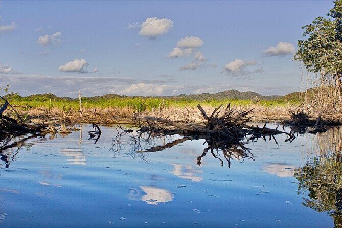 4-in-1 Tour - Mazunte,Cacao Factory, La Ventanilla & Turtle Spawn - What You’ll Love About the Tour