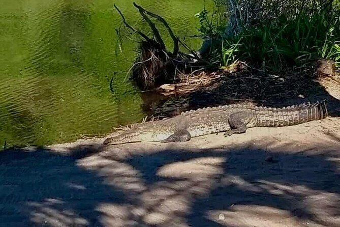 4-in-1 Tour - Mazunte,Cacao Factory, La Ventanilla & Turtle Spawn - The Value Proposition