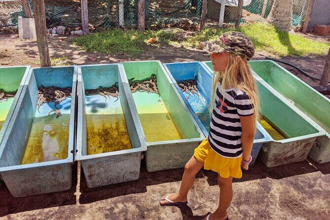 4-in-1 Tour - Mazunte,Cacao Factory, La Ventanilla & Turtle Spawn - Who Will Love This Tour?