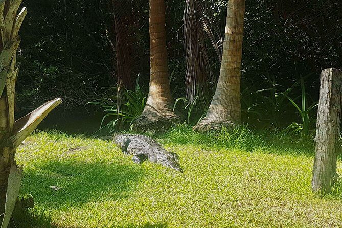 4-in-1 Tour - Mazunte,Cacao Factory, La Ventanilla & Turtle Spawn - FAQ