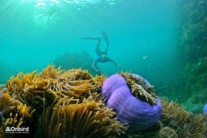 4 Islands & 2 Reefs - Discovery Snorkeling & Relaxing (MAX 12) - Key Points