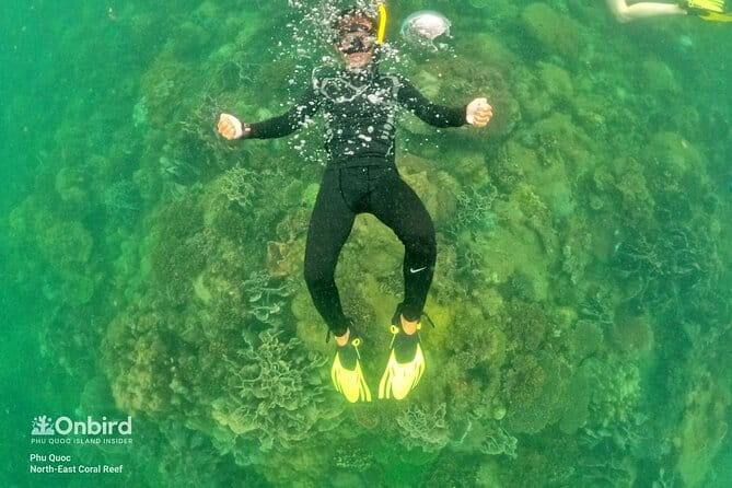 4 Islands & 2 Reefs - Discovery Snorkeling & Relaxing (MAX 12) - What to Expect from the Tour