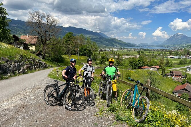 4 Lakes E-Bike Guided Tour and Lake Cruise - The Sum Up