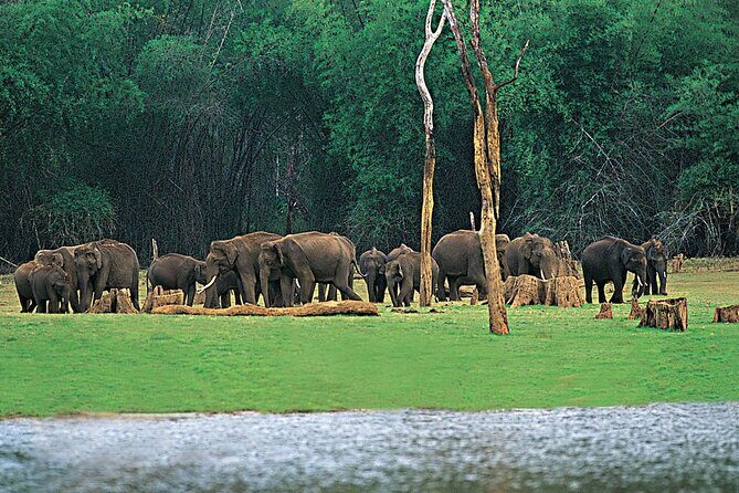 4 Nights 5 Days Kerala Tour Package - FAQ