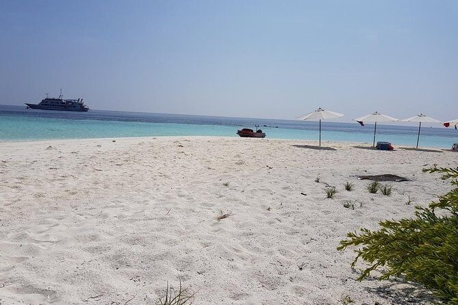 4-nights in Maldives For Solo Traveler - The Itinerary in Detail: What to Expect