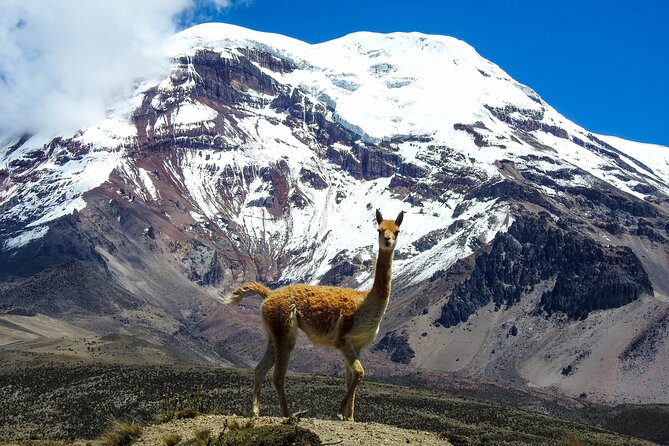 4 or 5 Day Quito to Cuenca and Cotopaxi,Quilotoa,Baños,Chimborazo - Tour Overview