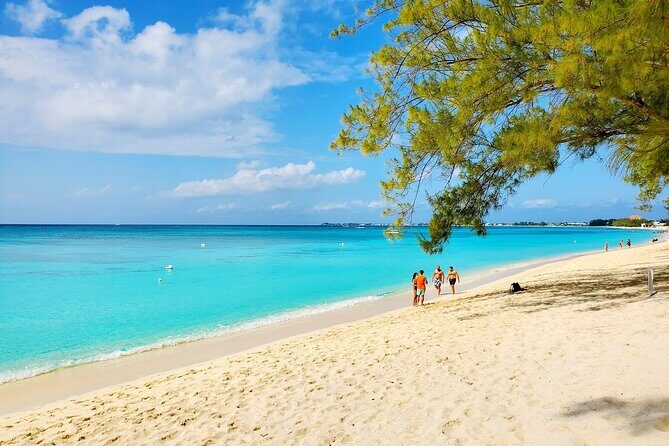 4 Stops Tour: Stingray, Snorkeling, Starfish & 7 Mile Beach - What’s Included and What’s Not