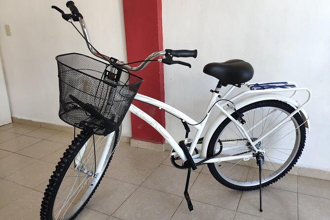 4 to 7 Day Beach Cruiser Rental (Up to 7 Days, includes Ulock) - What to Expect During Your Rental
