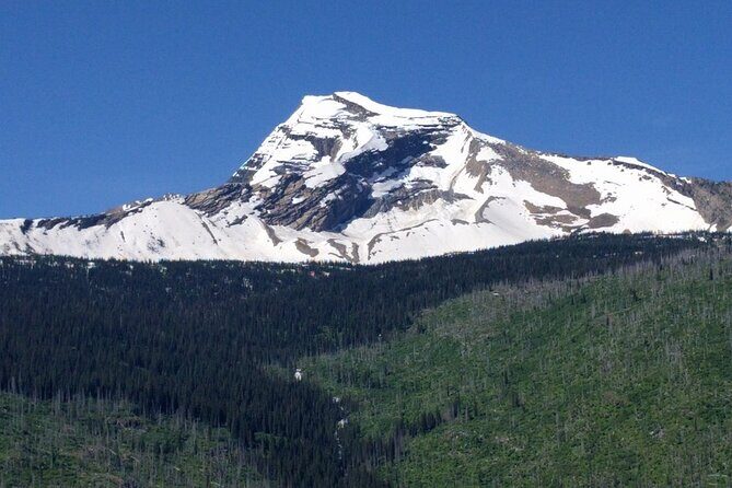 4 Tour Audio Adventure between Whistler & Lake Louise - Wildlife and Towns: Brackendale Eagles and Squamish