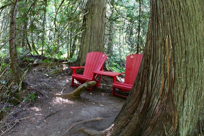4 Tour Audio Adventure between Whistler & Lake Louise - Limitations and Considerations