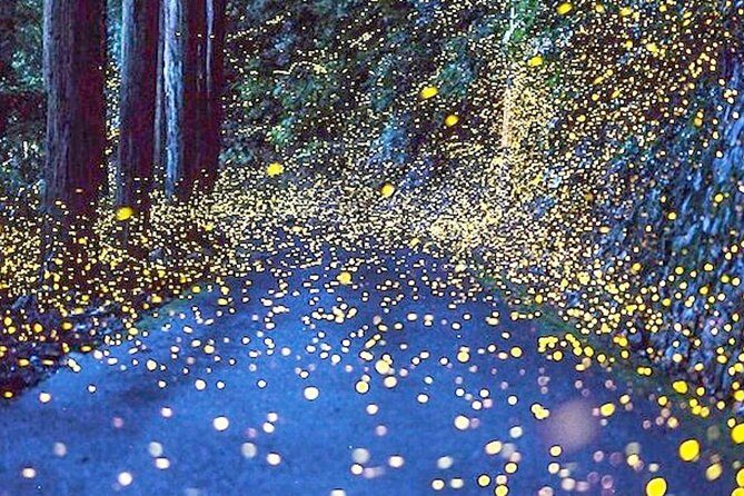 4 Tours Pass (KL City+Batu Caves & Countryside+Firefly+Genting) - Exploring the Itinerary in Detail
