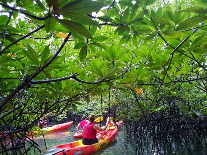 4 Waters Eco Adventure - The Experience: What Truly Stands Out