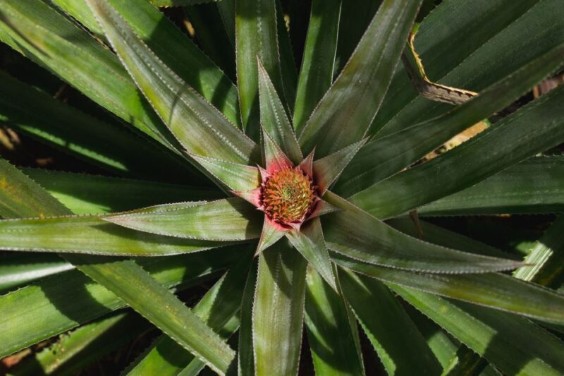 4 Waters Eco Adventure - Frequently Asked Questions