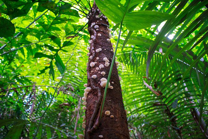 4-Waters Eco-Adventure Trip from Phuket Including Lunch - Frequently Asked Questions