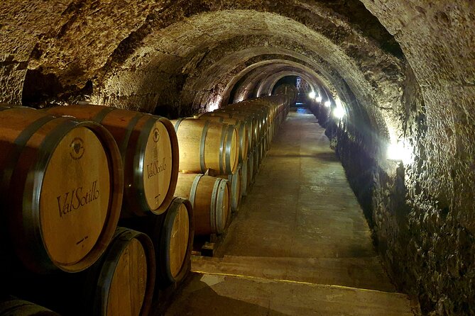 4 Wineries &Lunch Ribera Del Duero Tour: Visit, Tasting & Lunch. - Wineries Included in the Tour