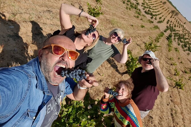 4 Wineries &Lunch Ribera Del Duero Tour: Visit, Tasting & Lunch. - Culinary Experience and Wine Pairings